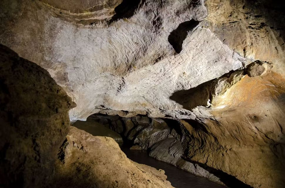 'Such caves weren't used for ordinary living': Rare finger grooves from ...