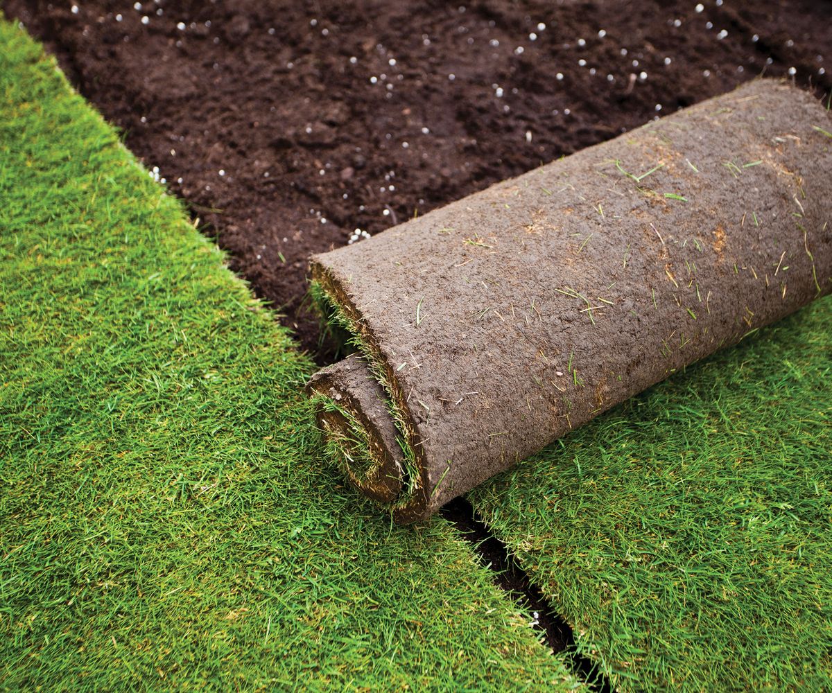 When is the best time to lay turf in the UK? | Homebuilding