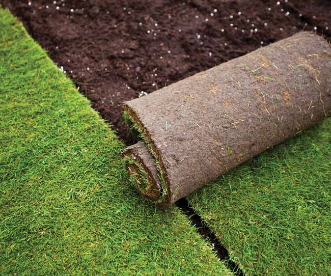 When is the best time to lay turf in the UK? | Homebuilding
