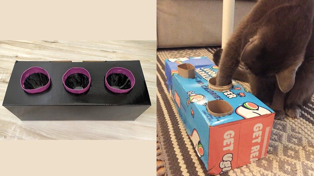 7 fun cat enrichment ideas to stimulate your kitty’s mind and body ...
