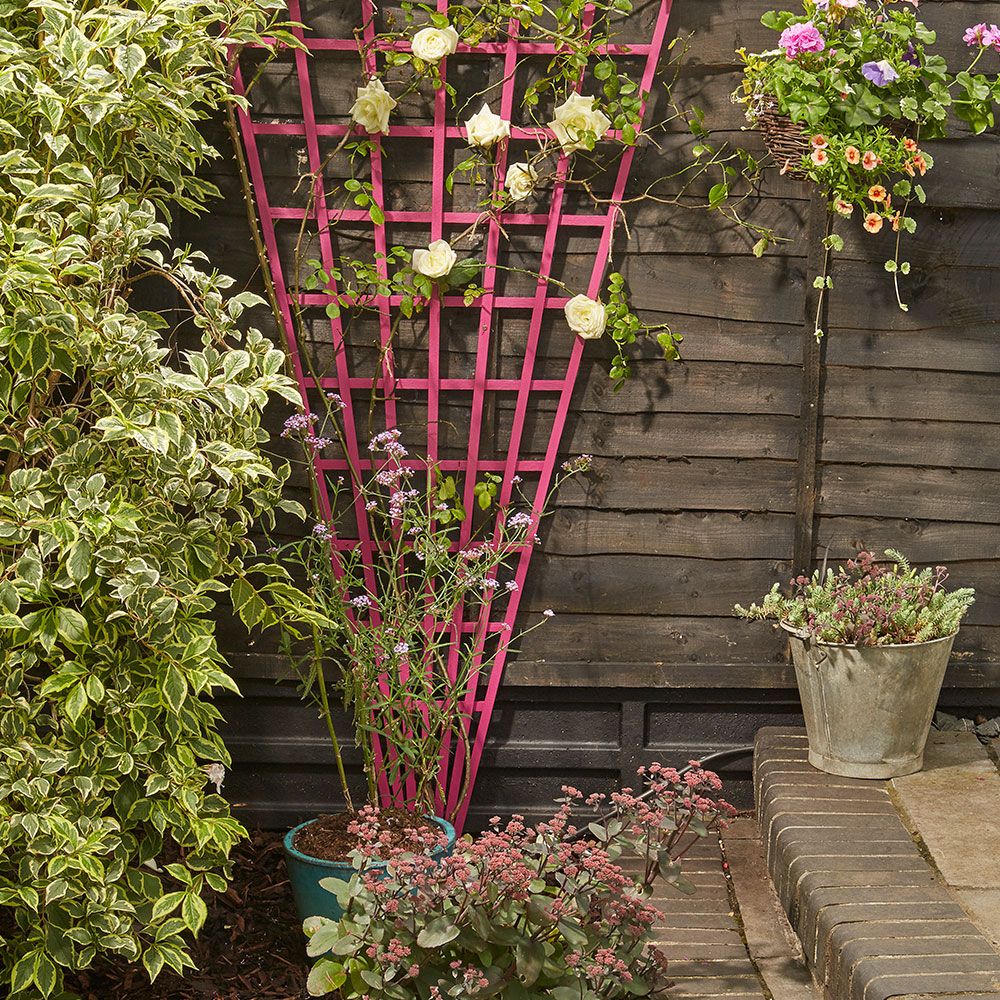 21 garden trellis ideas to add structure to your space | Ideal Home