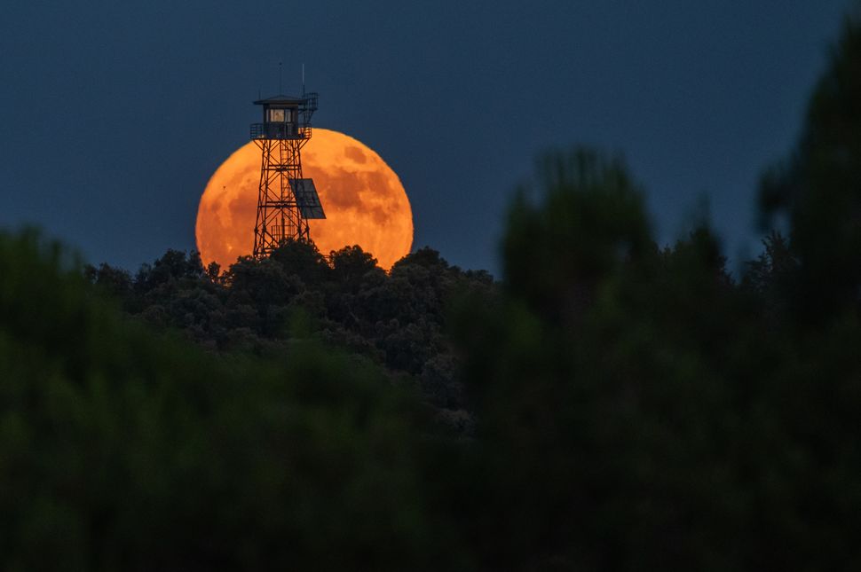 June's full 'Strawberry Moon' illuminates the night sky June 10-11 ...
