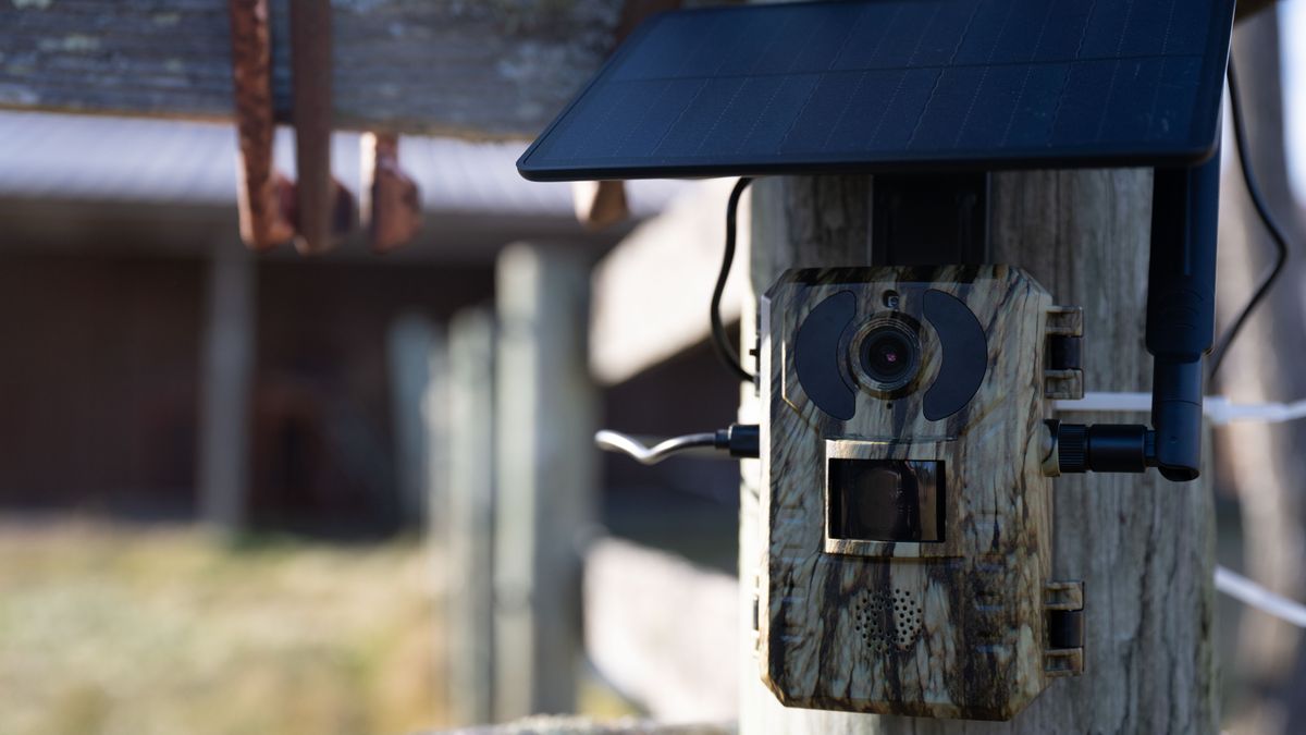 SEHMUA 4G LTE 3rd Gen Cellular Trail Camera review | Digital Camera World