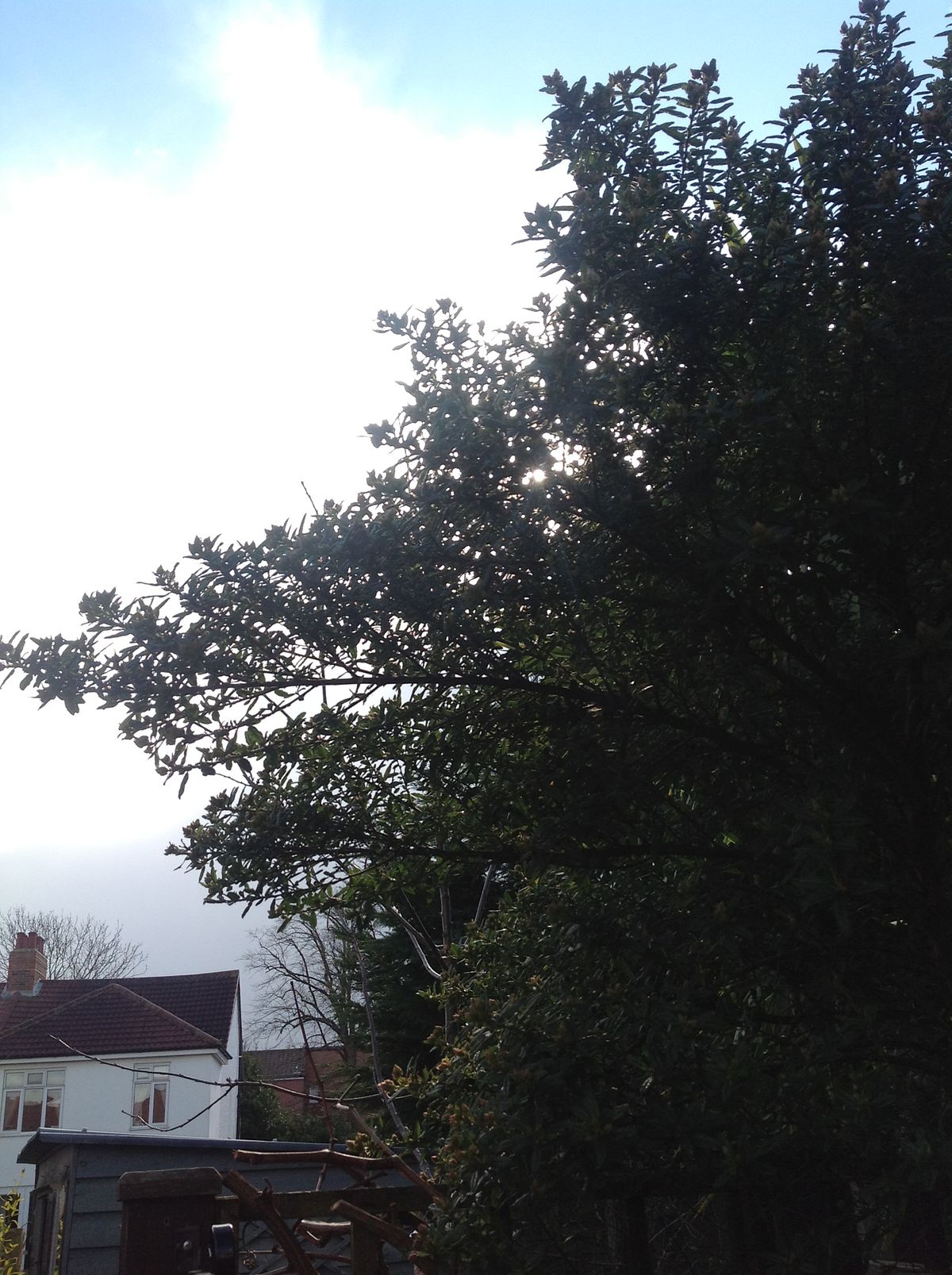 Camera and video - Camera and video - New iPad 4 review - Page 6 ...