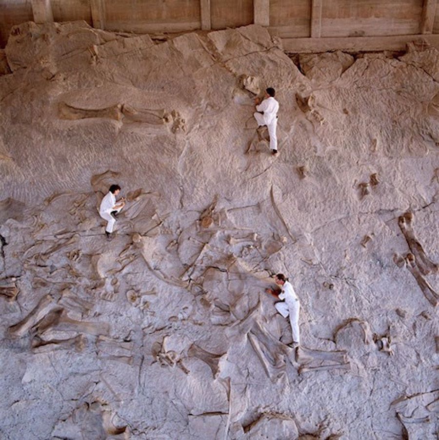 Dino Graveyard: Photos of Dinosaur National Monument | Live Science