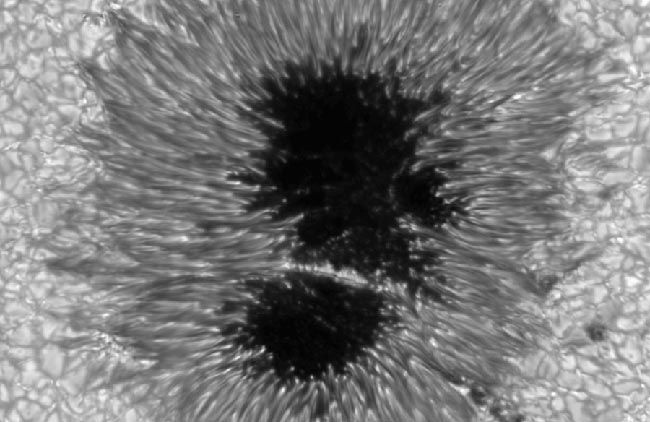 Sun's Activity Increased in Past Century, Study Confirms | Space