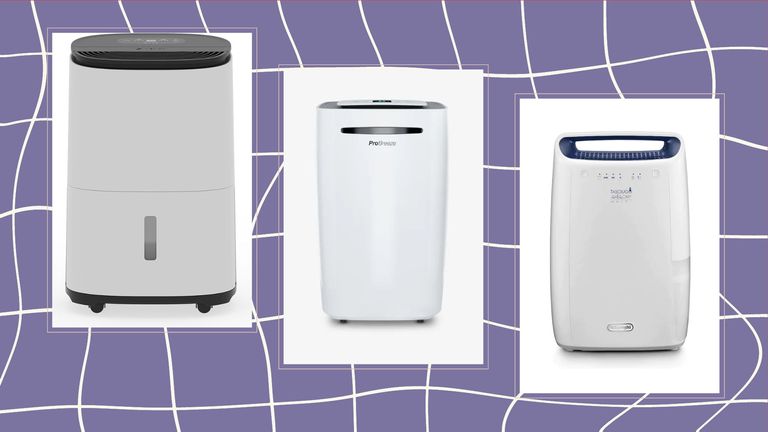 The best dehumidifiers to banish mould and damp this winter | Woman & Home