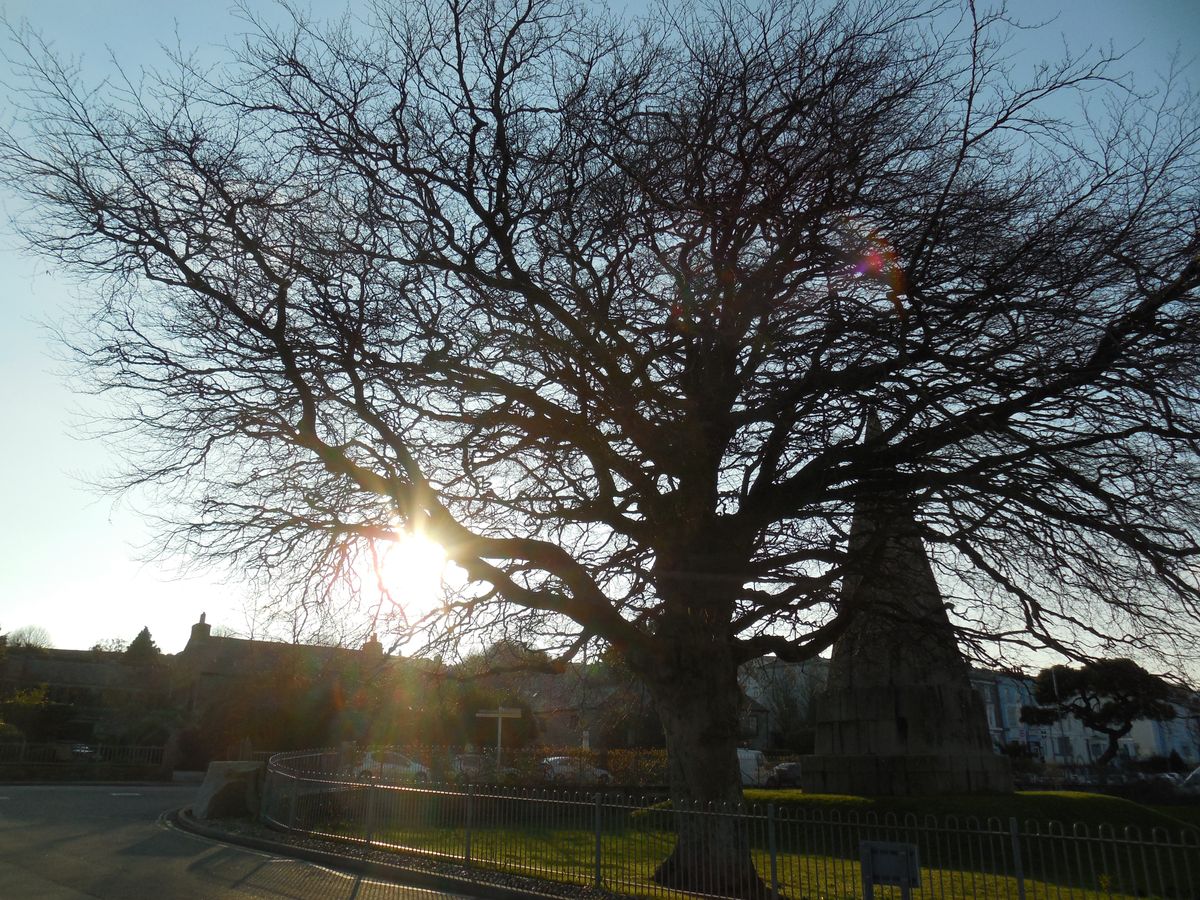 Sample images - Nikon Coolpix S5200 review - Page 4 | TechRadar