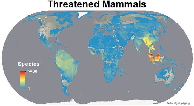 Biodiversity Threats: Maps of Species Hotspots | Live Science