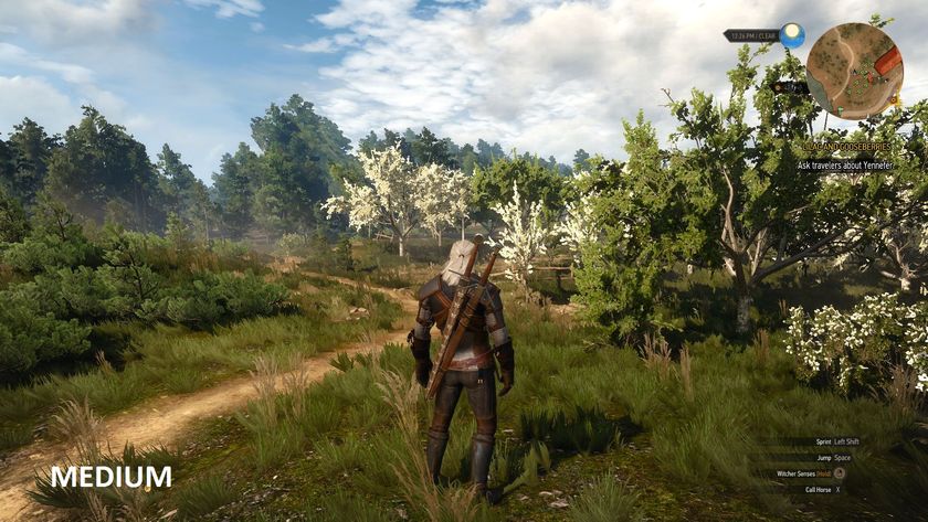 Witcher 3 graphics options, performance and settings | PC Gamer