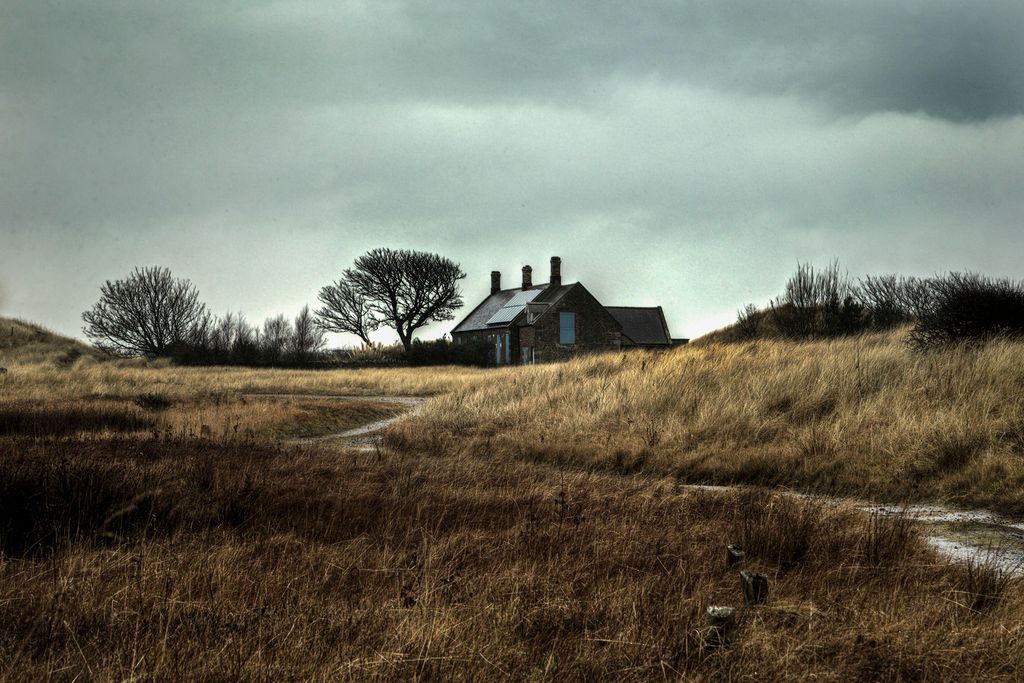 Vera Season 11 release date, plot, cast, trailer and more | What to Watch