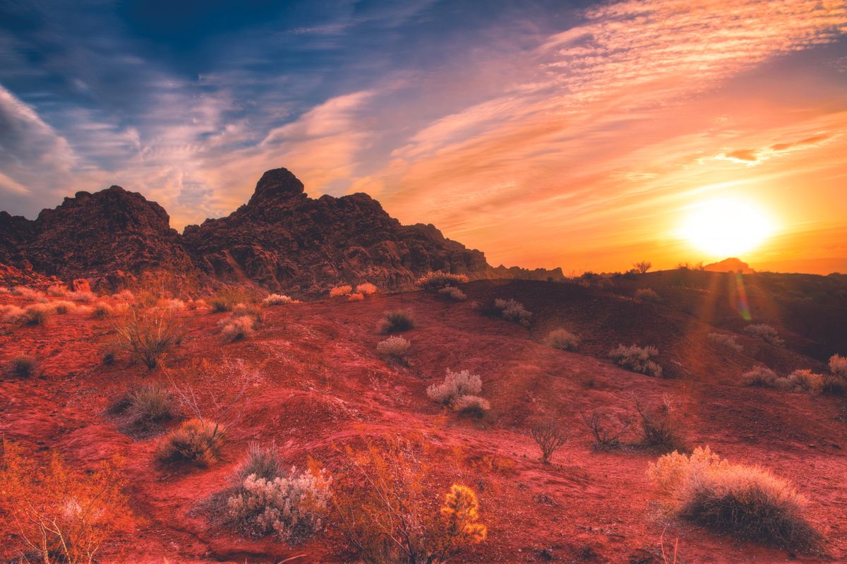 Learn how to unlock stunning natural colors in your photos | Digital ...