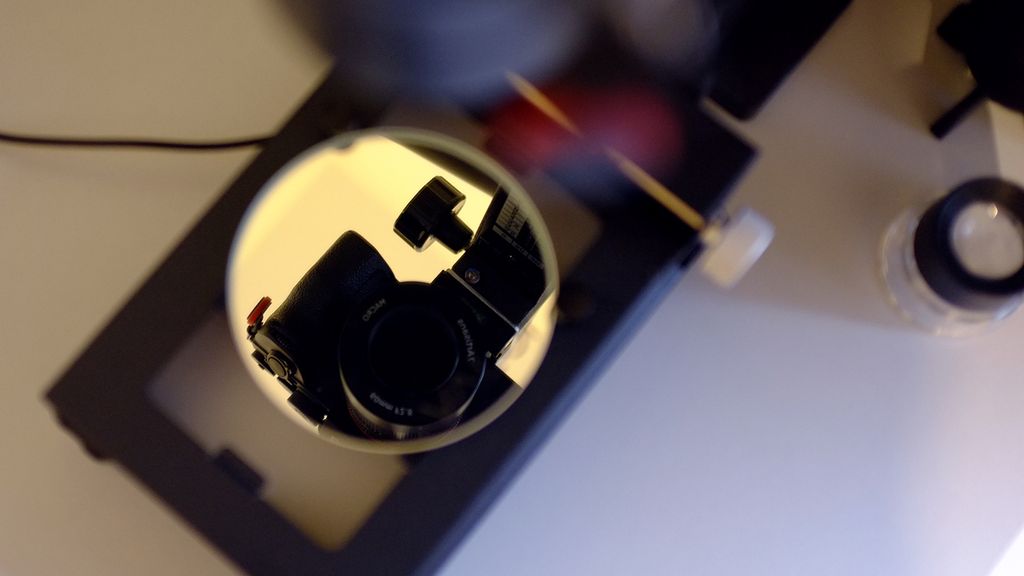 Valoi 360 Professional Scanning Kit review: I’ve been scanning my own ...