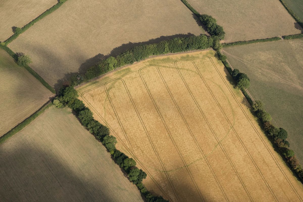 Photos: Cropmarks Reveal Traces of Lost Civilizations in England | Live ...