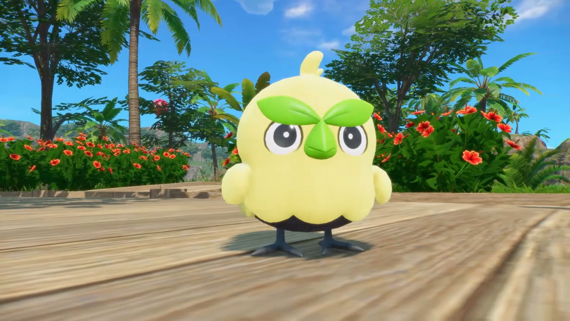 Pokemon Winds and Waves' "angry bird" Browt already has quite the fan ...