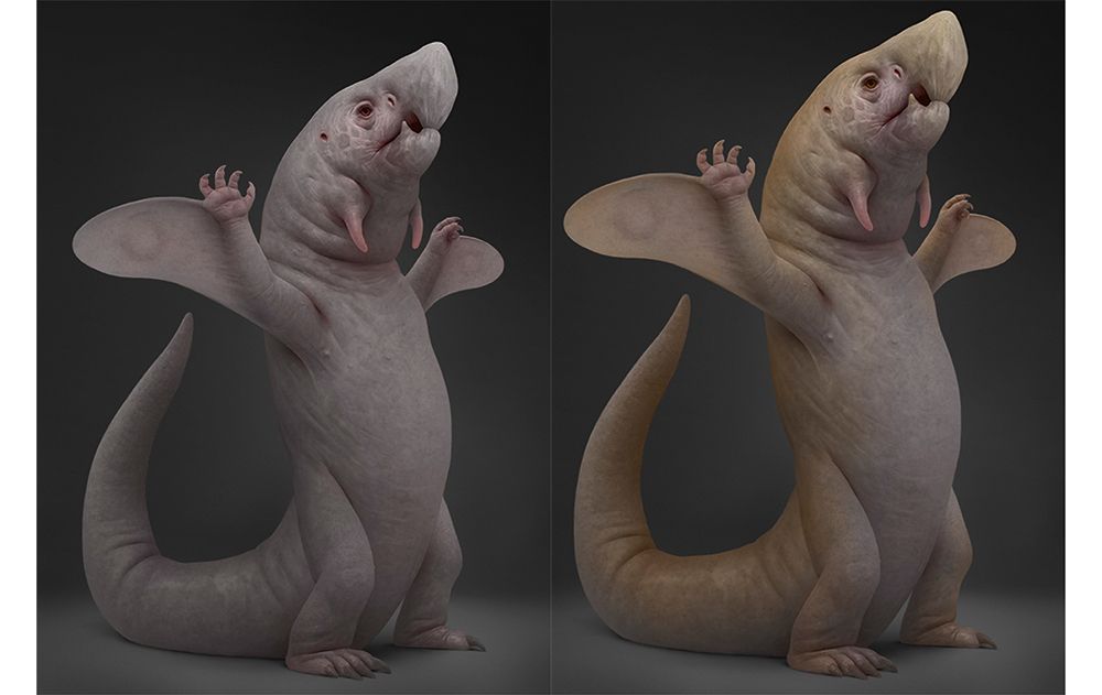 How to create a super-realistic fantasy creature | Creative Bloq