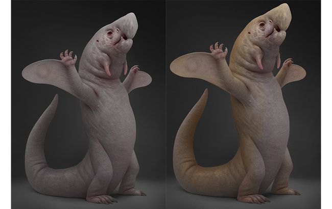 How to create a super-realistic fantasy creature | Creative Bloq