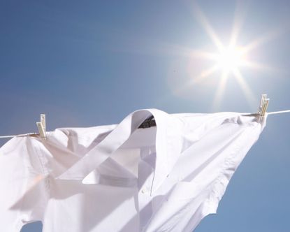 How to get a stain out of a white shirt – cleaning experts | Homes and ...