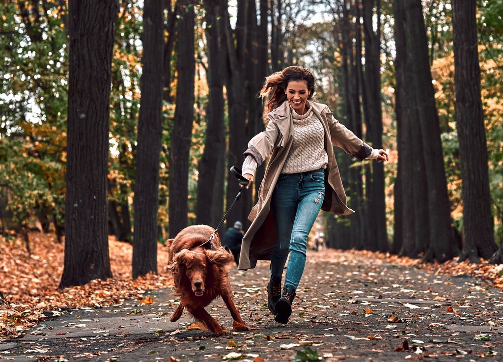 Should I use a dog harness instead of a lead? Expert trainer Ben ...
