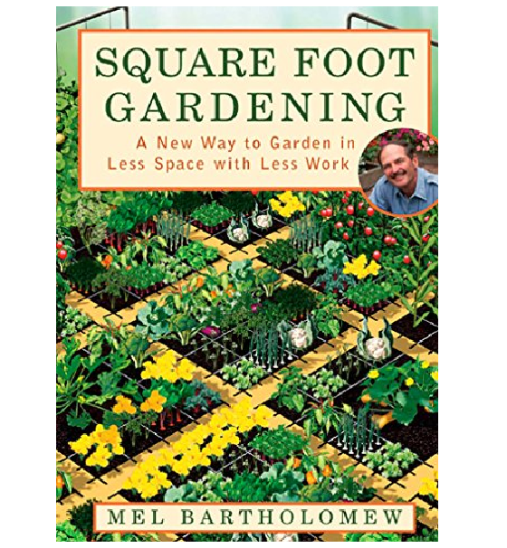 What is square foot gardening? Experts explain all | Livingetc