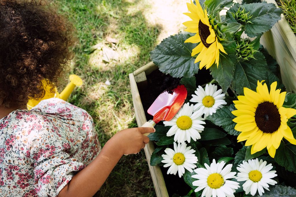 Garden play area ideas: 10 ways to create fun-filled environments for ...
