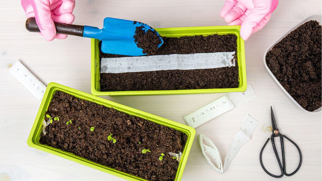 How to make DIY seed tape: 5 simple steps | Homes and Gardens