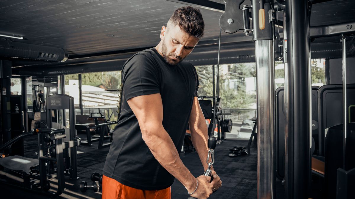 5 top tricep exercises, according to an exercise scientist | T3