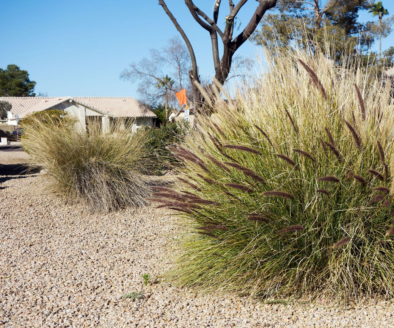 Front yard paving ideas: 10 expert suggestions | Homes and Gardens