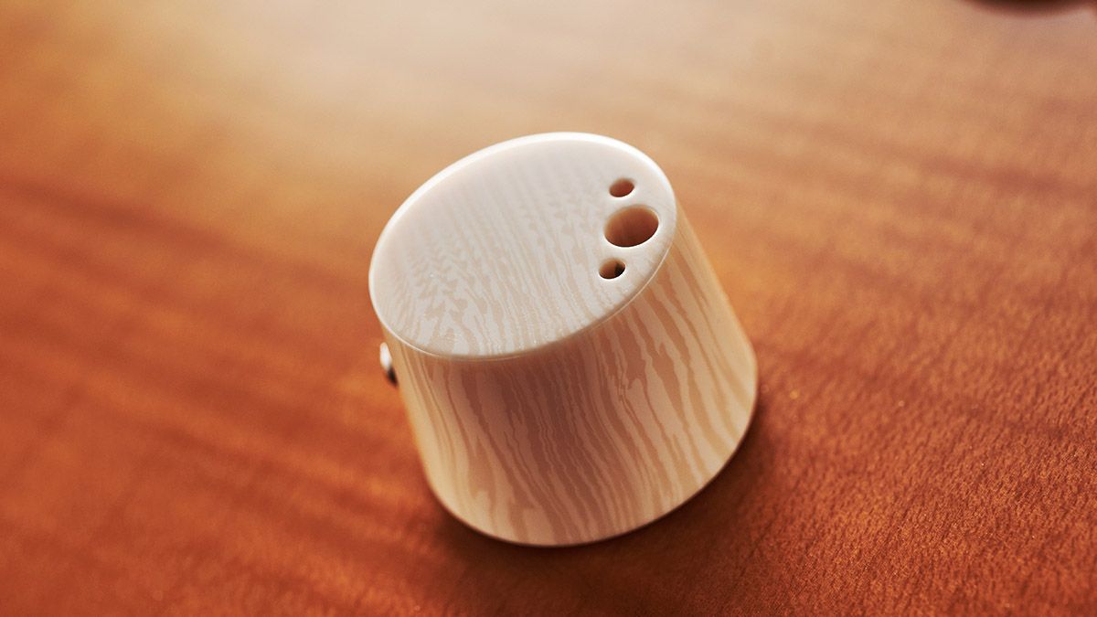 Robson Renegade and Paradise 73 review | Guitar World