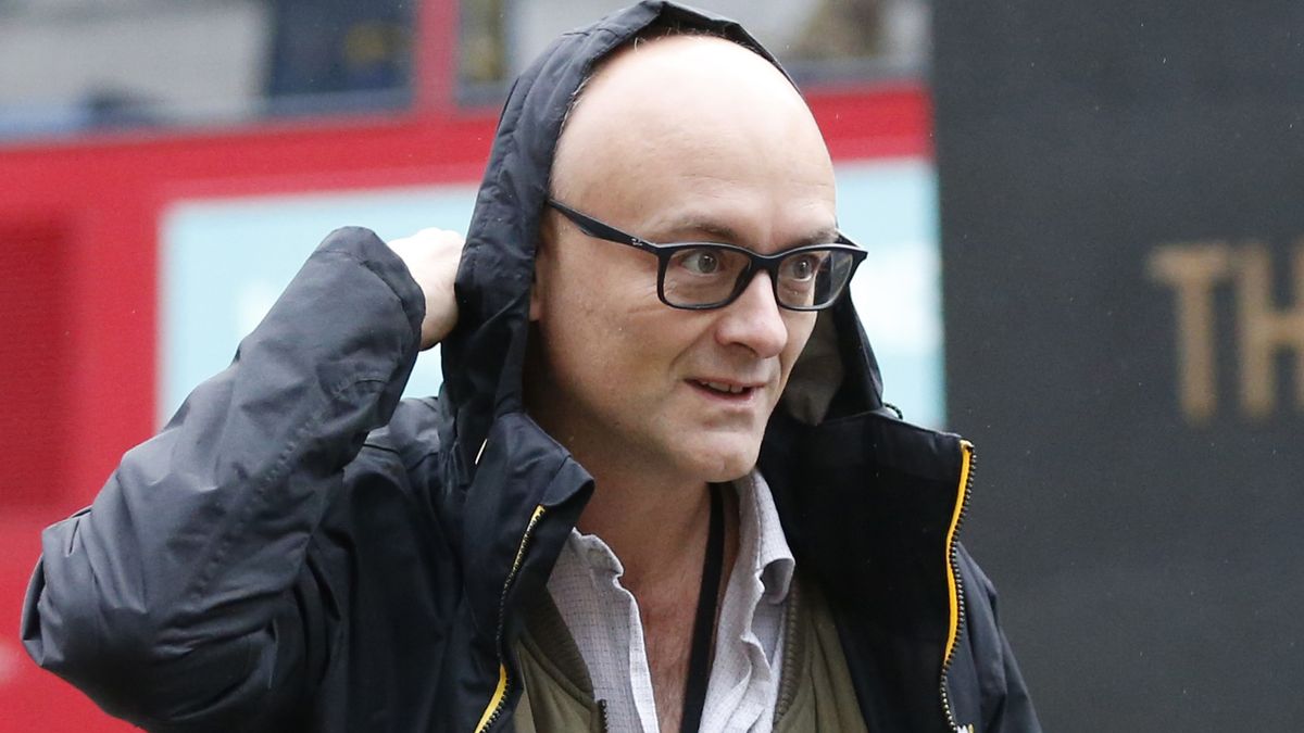 Taking Control: The Dominic Cummings Story - what the critics said ...