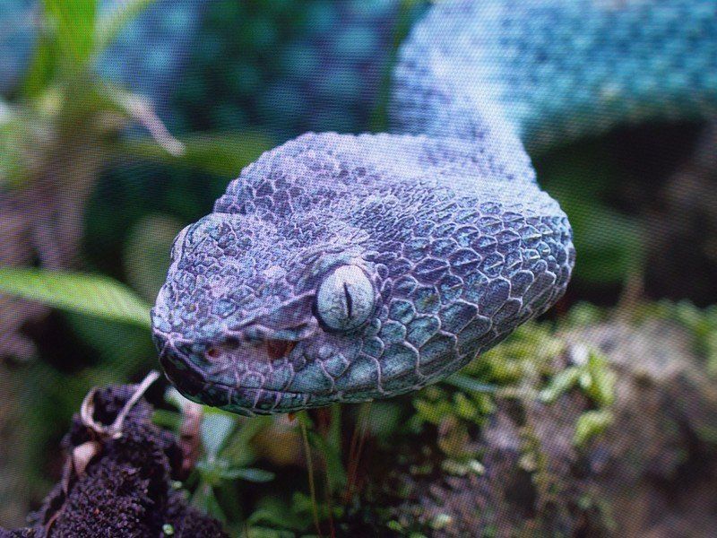 Hisense H8G Quantum Series review: A gorgeous 4K TV at a great price ...