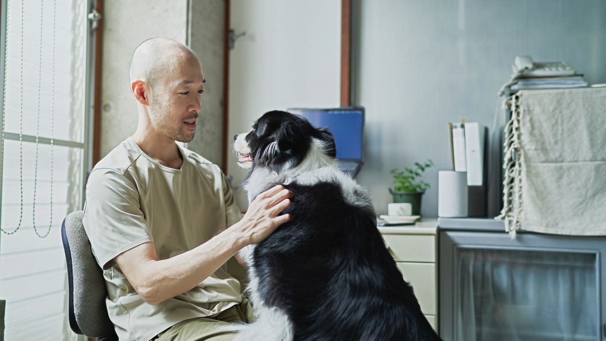 32 ways having a pet changes your life (and we know it!) | PetsRadar