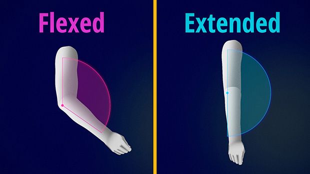 Guitar Anatomy: Four Fundamental Movements Every Guitarist Should Know ...