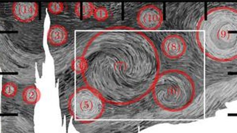 Van Gogh's 'Starry Night' contains surprisingly accurate physics ...