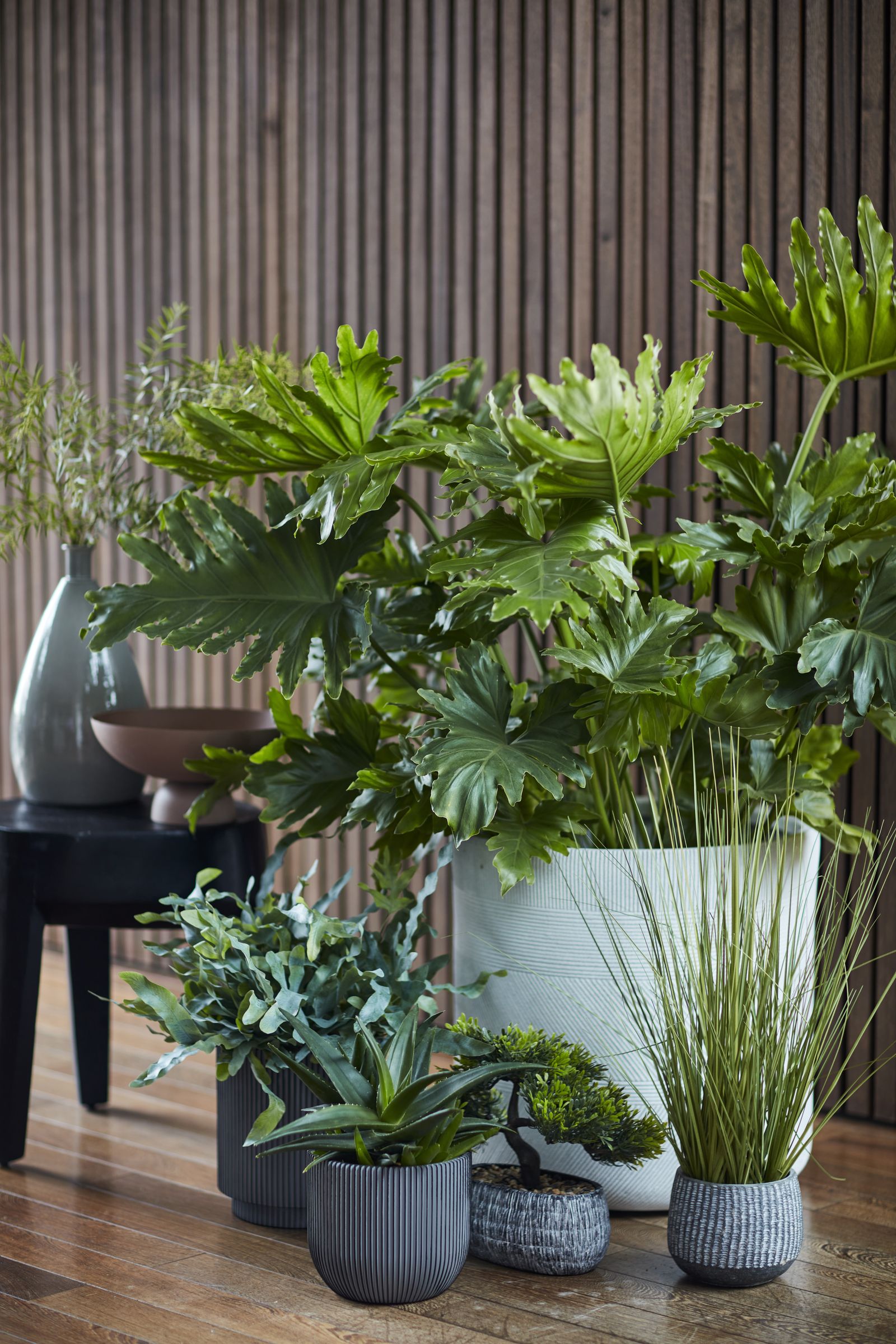 Aloe vera plant care: tips for growing aloe plants | Gardeningetc