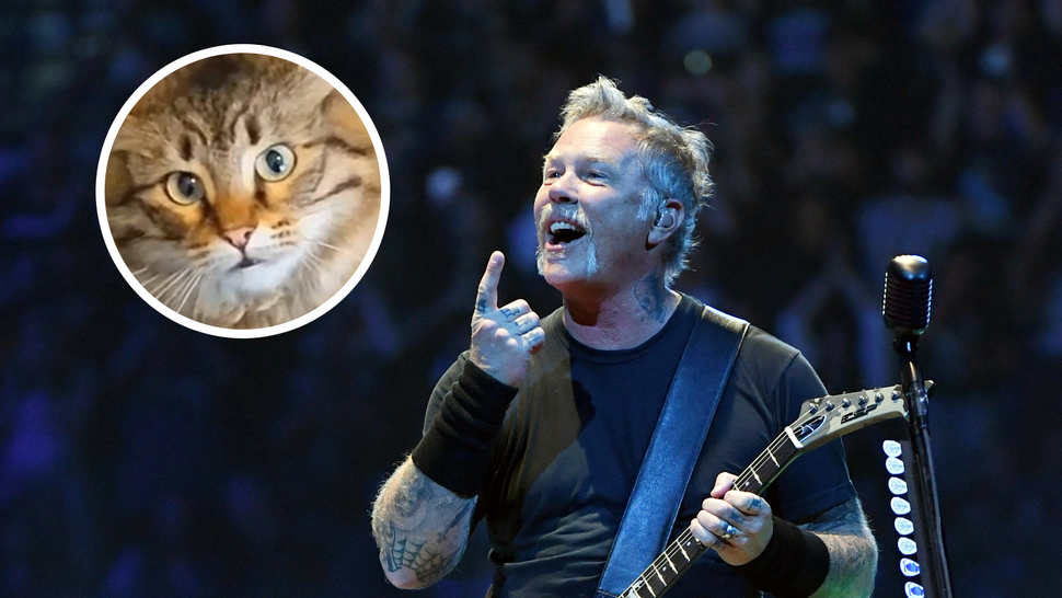 Cat rocks out to Metallica's Enter Sandman | Louder