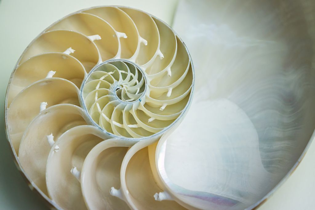 Golden ratio photography composition explained | Digital Camera World