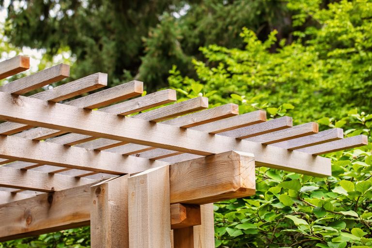 How to build a pergola in your backyard, with expert advice | Livingetc