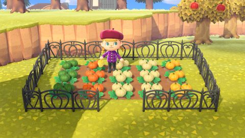 Animal Crossing: New Horizons Farming Guide — How To Buy Seeds and Grow ...