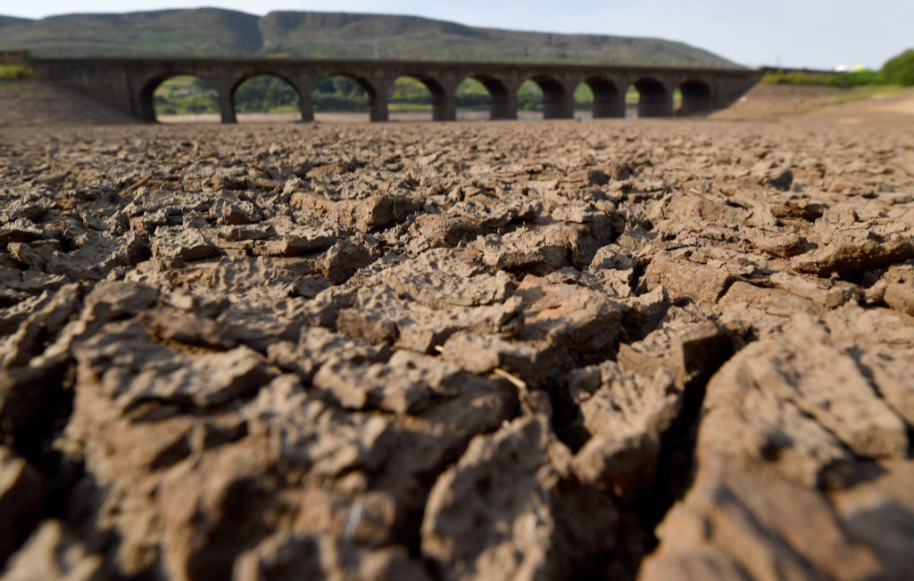 Hosepipe bans and crop failures: how drought may hit England | The Week