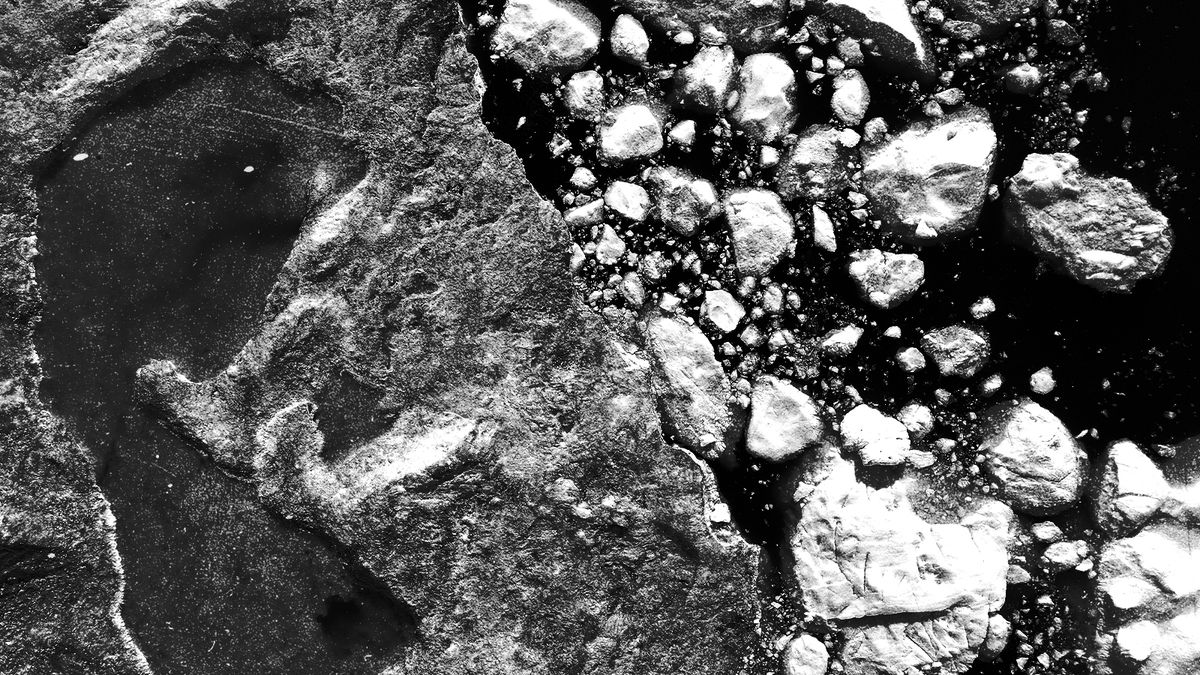 'Zombie ice' is real — and it's as spooky as it sounds | The Week