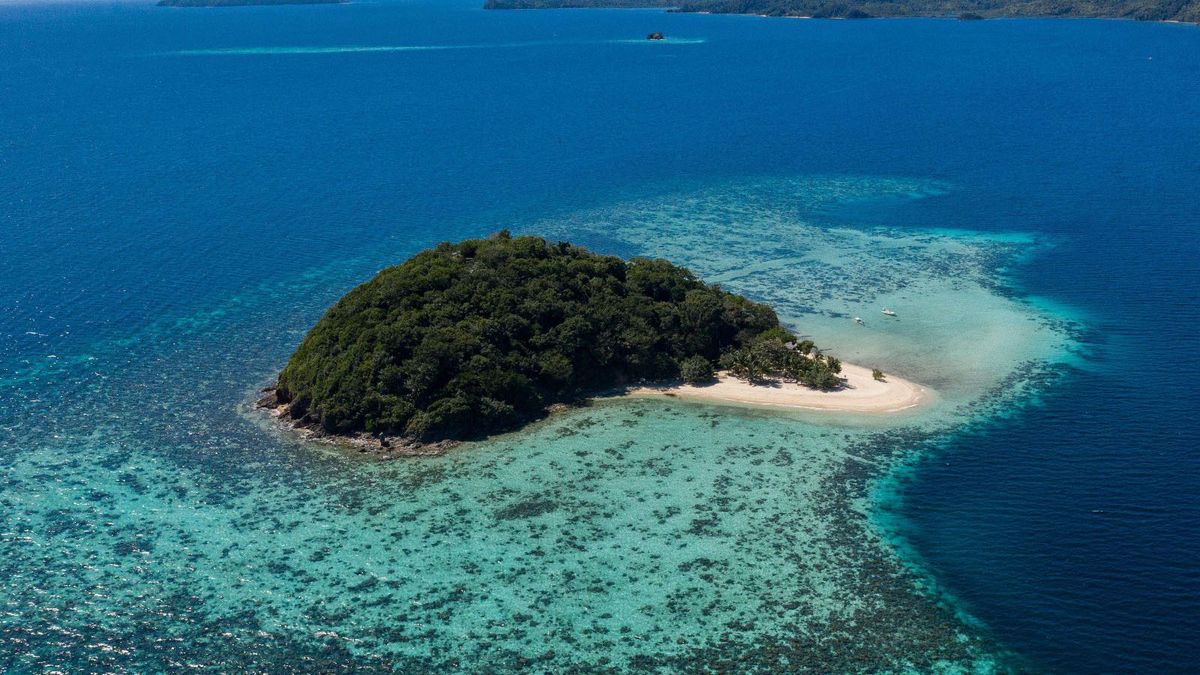 This island is getting the world’s first AI government, but I’ve read ...