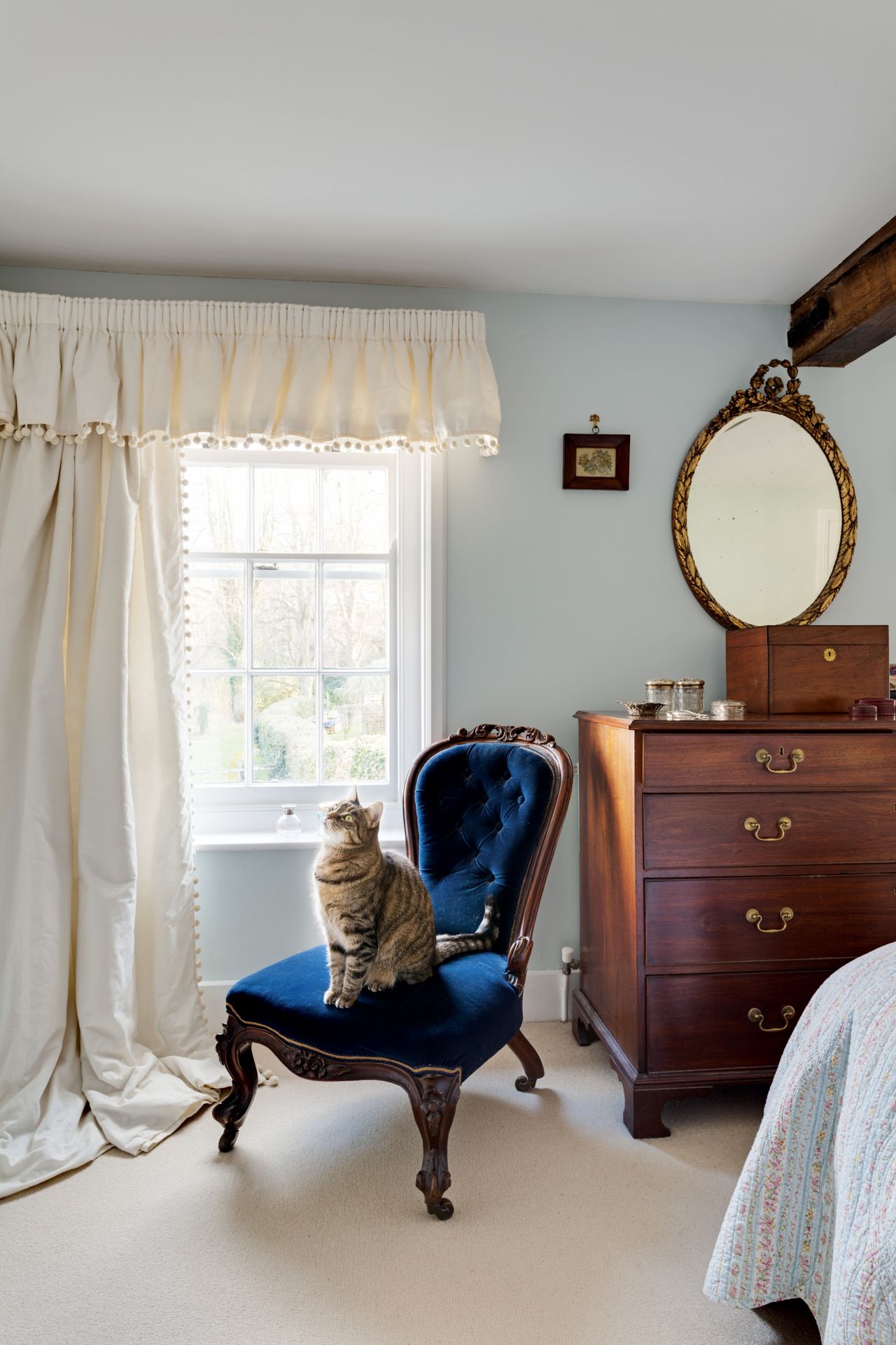 Best ways to clean up after cats | Real Homes
