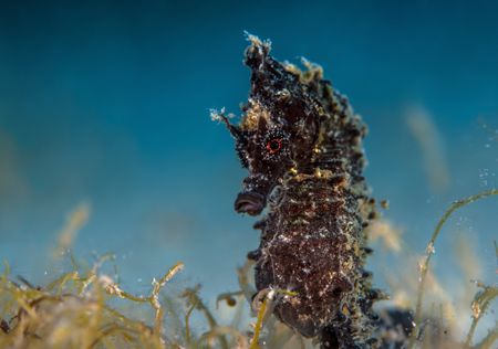 Under the sea: 50 breathtaking images from our oceans | Live Science