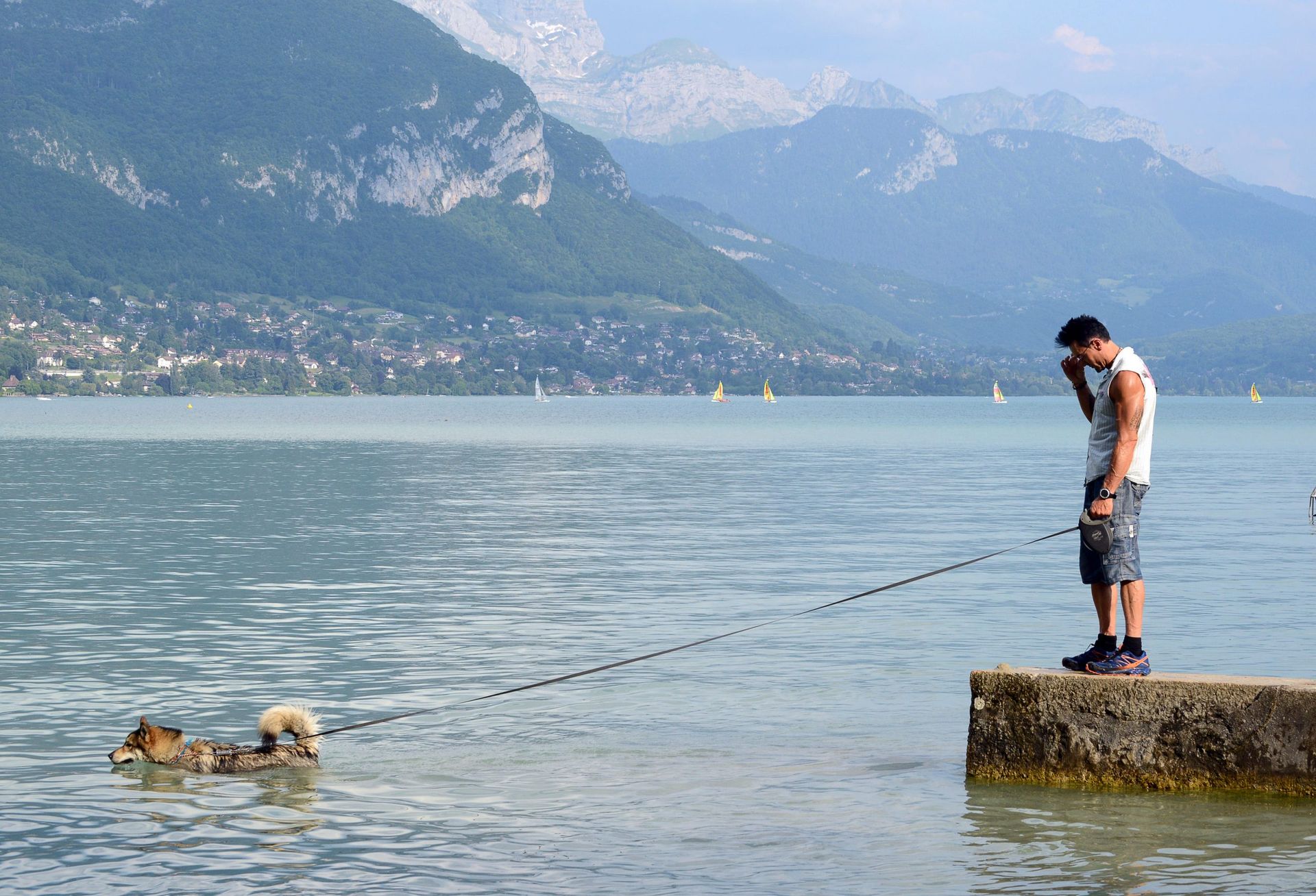 Dog lead training with Ben Randall | Country Life