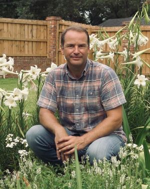 7 of the most popular tulip types explained