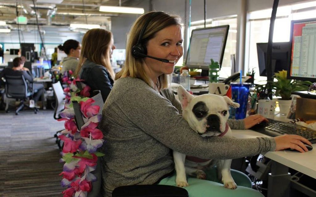 10 Big Employers That Let You Bring Your Dog to Work | Kiplinger