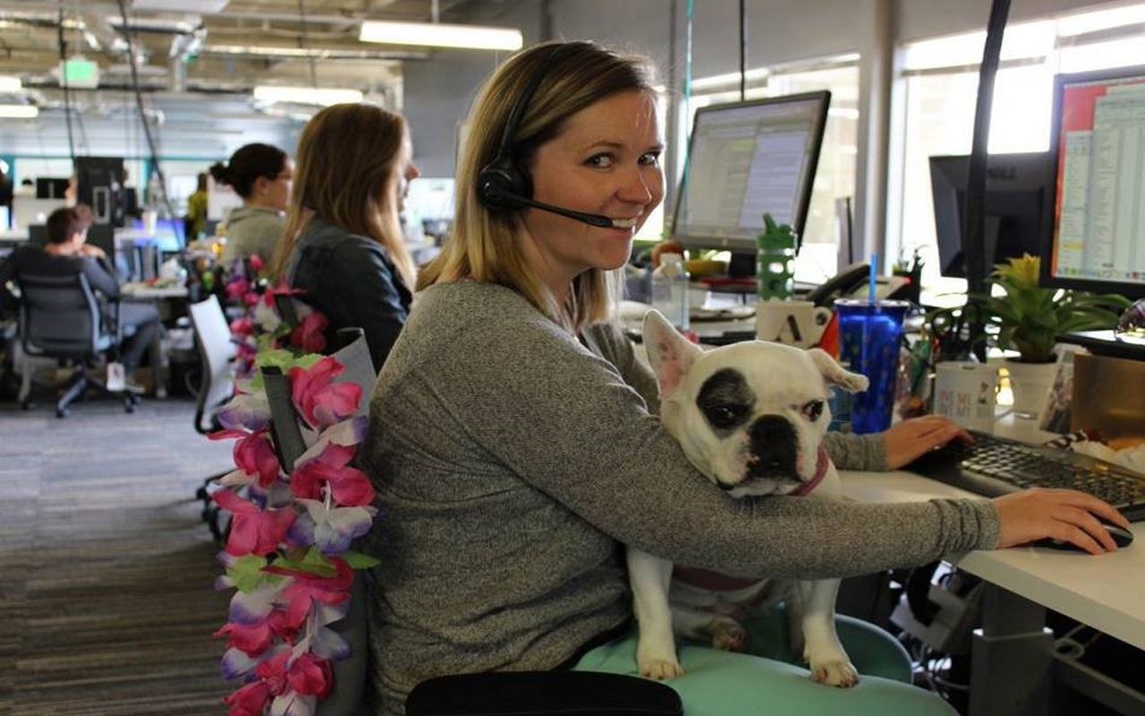 10 Big Employers That Let You Bring Your Dog to Work | Kiplinger