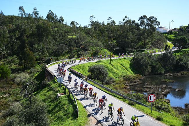 As it happened: Confusion as peloton takes wrong turn in finale of ...