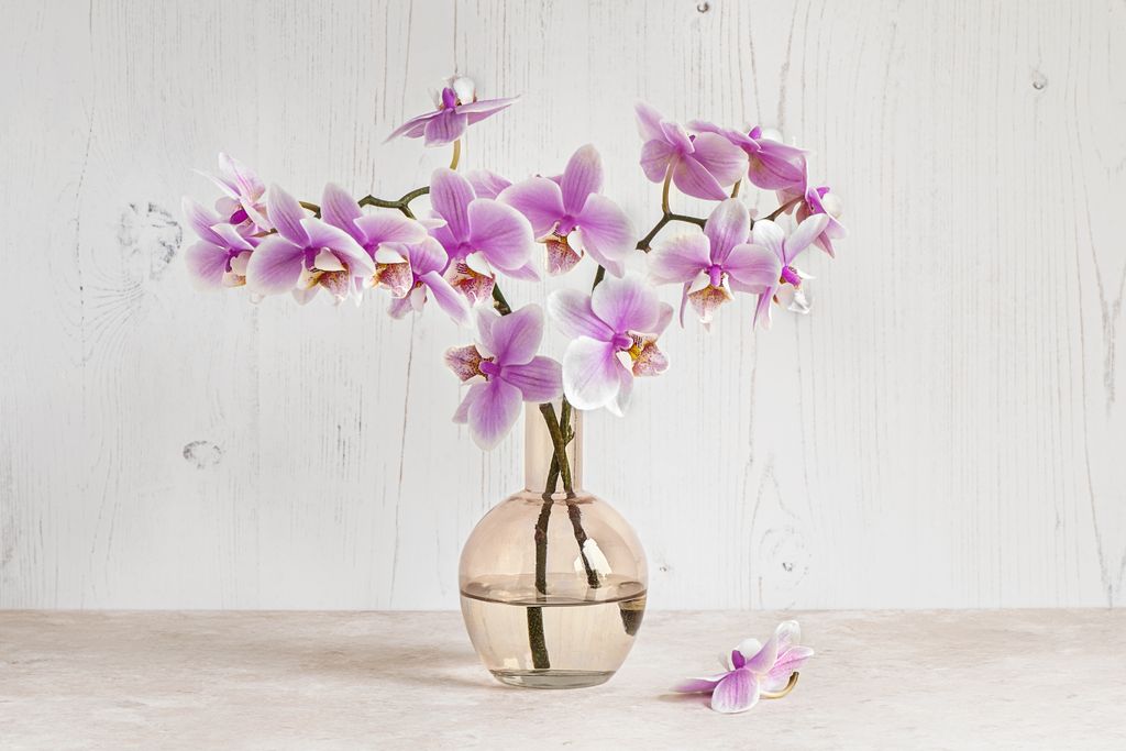 How to choose the right vase for your cut flowers | Homes and Gardens